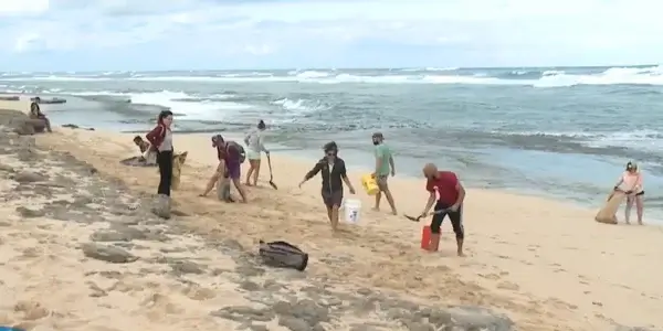 Beach Clean Up: A Must Do Activity On Haena State Park Kauai